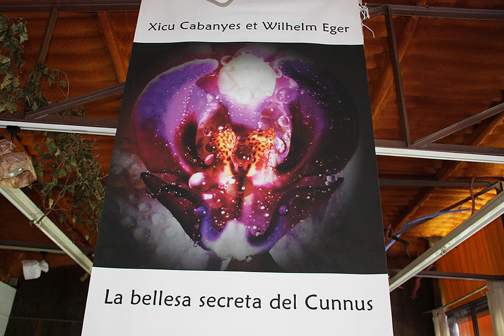 Les escultures - Escultura:: La bellesa secreta del cunnus - Imatge: La ...