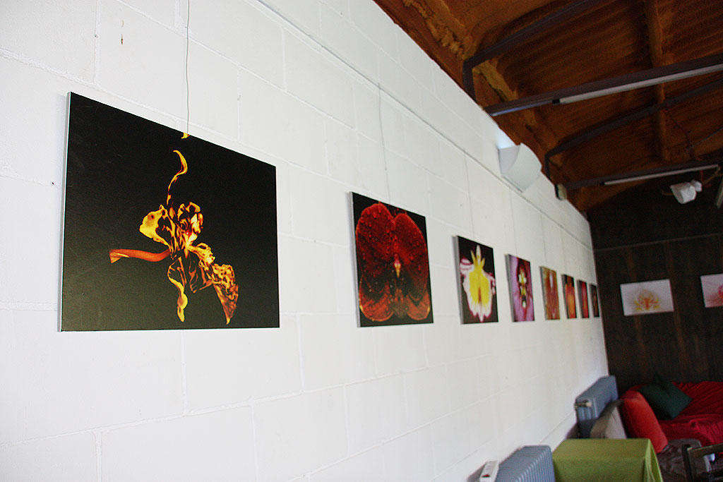 Les escultures - Escultura:: La bellesa secreta del cunnus - Imatge: La ...